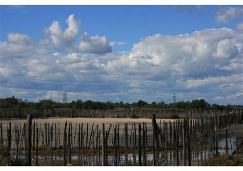 Fos Une Longue Histoire A Ma Médiathèque