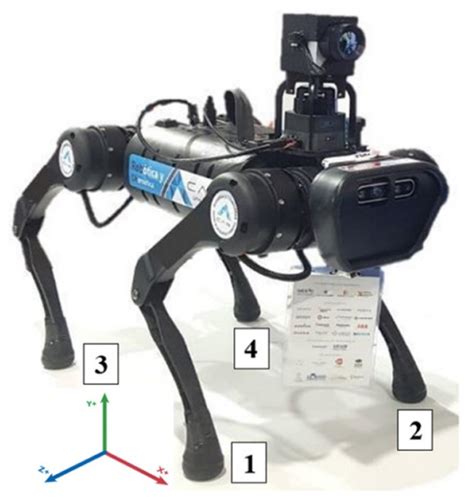 Deep Learning Vision System For Quadruped Robot Gait Pattern Regulation