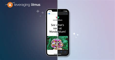 Leveraging Litmus Dark Mode And Accessibility In Litmus Litmus