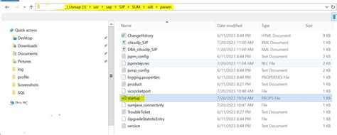 Generating The System Info File For Abap And Java Sap Community