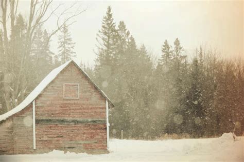 Dick Tracy By Charles Ettinger And Mike Curtis