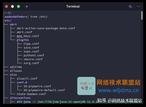 如何限制linux终端中tree命令递归文件列表的深度? 知乎 如何限制linux终端中tree命令递归文件列表的深度? 知乎