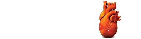 Simdax Iv Levosimendan