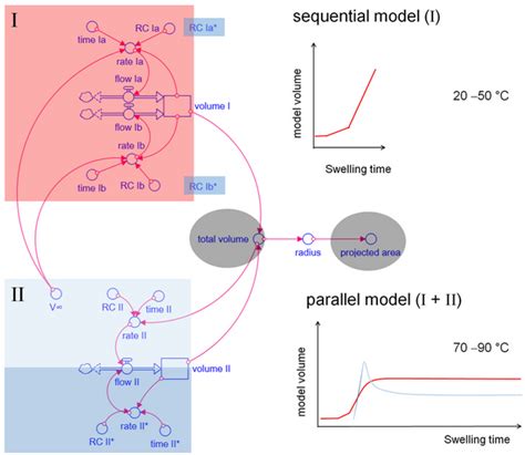 Overview Of Dynamic Stella Models Used To Simulate The Swelling Download Scientific Diagram