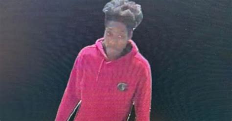 Police Seek Suspect In Somerset Hit And Run Newport Dispatch