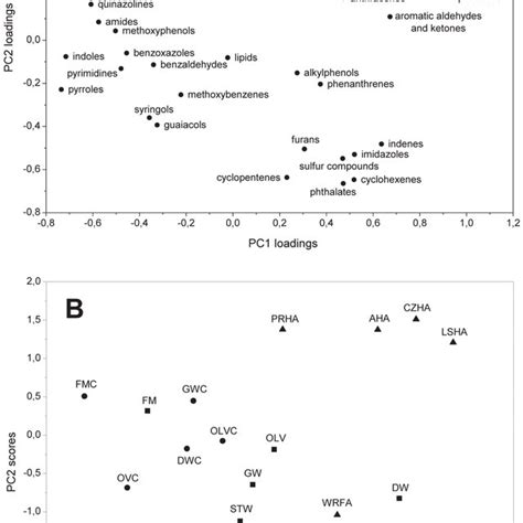 Principal Component Analysis Based On Pyrolysis Gas Chromatographymass Download Scientific