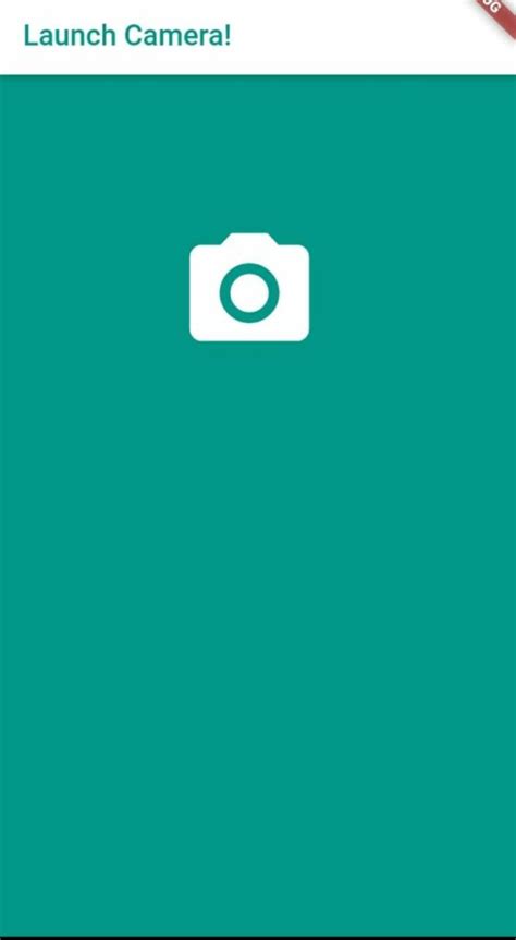 Writing Native Java Code In Flutter For Android Fritz Ai