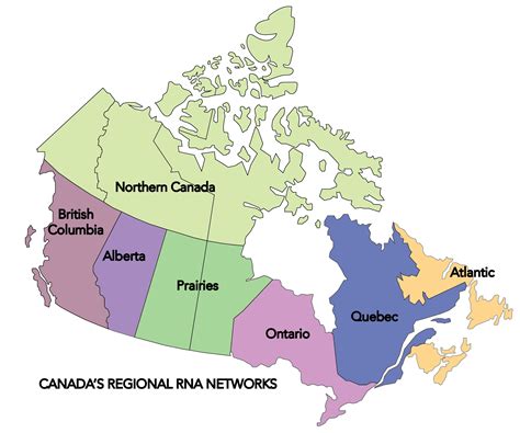 Rna Canada Arn Has A New Executive Committee Rna Canada Arn