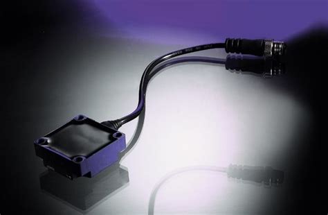 Potting Encapsulation Dolphs