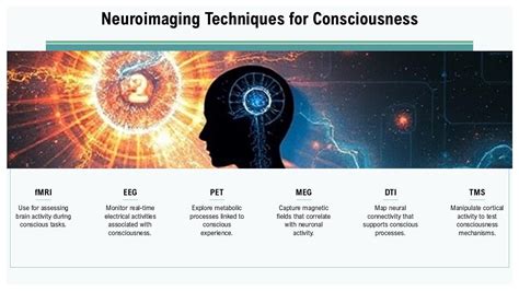 Neuroimaging Techniques For Consciousness Neuroscience Ppt Information Acp Ppt Powerpoint