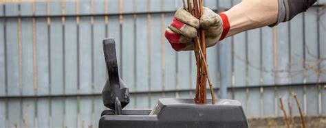 Premium Photo Work In The Garden Man Cutting And Crushing Branches Of Trees And Berry Bushes