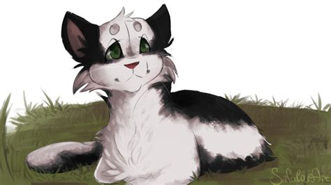 Badgerpaw By Safulousart Warrior Cats Warrior Cat Warrior Cat Drawings