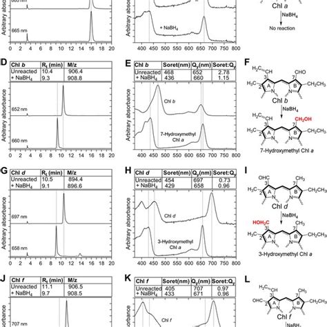 Chemical Structure Of Chl A Chl B Chl D And Chl F With The Download Scientific Diagram