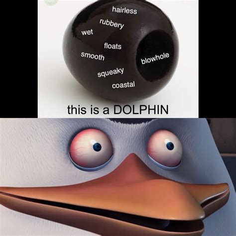 Yet Another Oedipus Complex Meme Rphilosophymemes