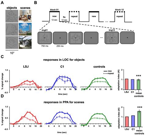 Figure 3 From Functions Of Ventral Visual Cortex After Bilateral Medial