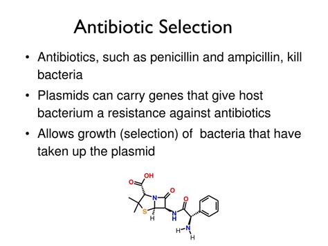 Ppt Biochemistry Powerpoint Presentation Free Download Id5574840