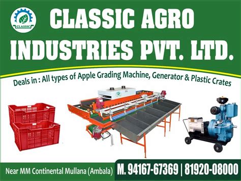 Automatic Apple Grading Machine 1 5 Ton Per Hour At Rs 185000 In Ambala