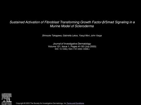 Sustained Activation Of Fibroblast Transforming Growth Factor βsmad