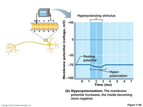 Ppt 11 Powerpoint Presentation Free Download Id1720154