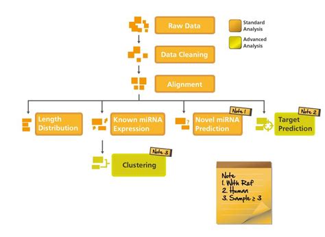 Ngs 次世代定序服務 Small Rna Sequencing 威健股份有限公司