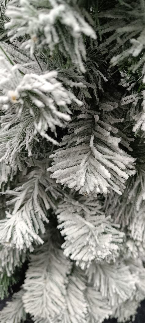 Choinka Mała śnieżona Stojak Gałązki Choinki Małej Mają Igły