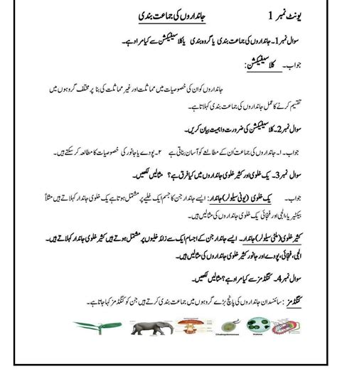 Pec Exam Notes For Class 5 Apk For Android Download