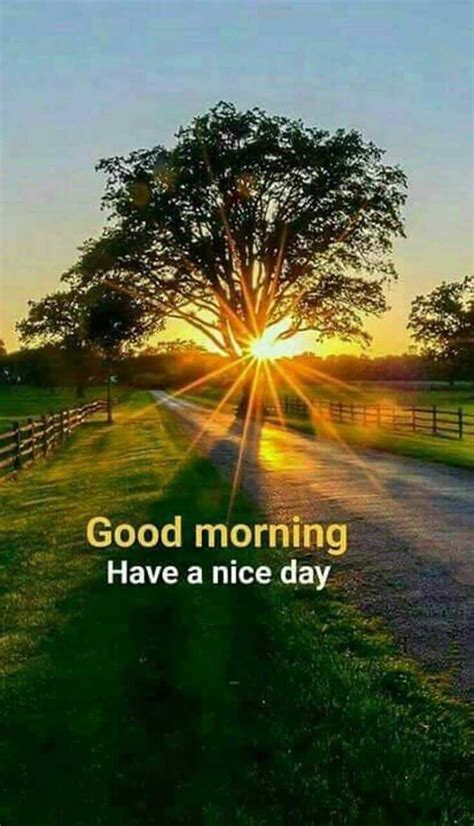 100 Good Morning Quotes And Wishes With Beautiful Images — Page 2 Of 2