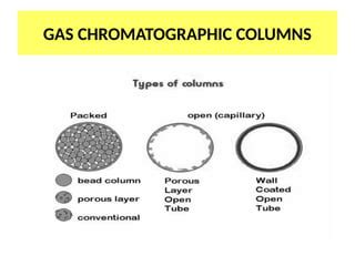Description Column For Gas Chromatography Temperature Programming Pptx