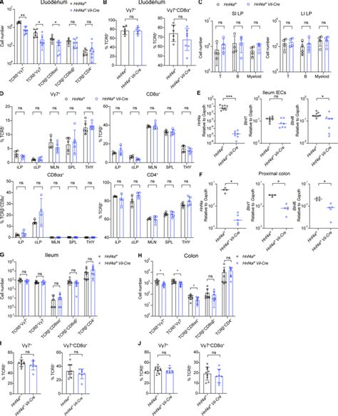 Immune Composition In Other Tissues And 1 Wk Old Mice Related To Figs