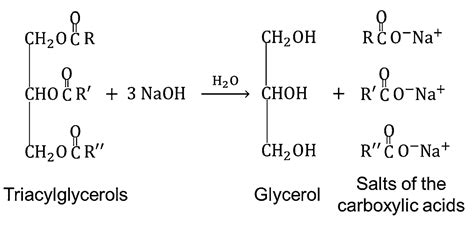 Triglyceride Hydrolysis