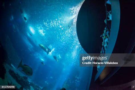 Safe The Planet Photos And Premium High Res Pictures Getty Images