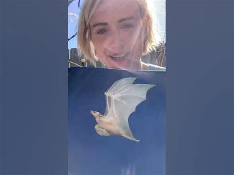Taylor Schilling Reading A Book Youtube