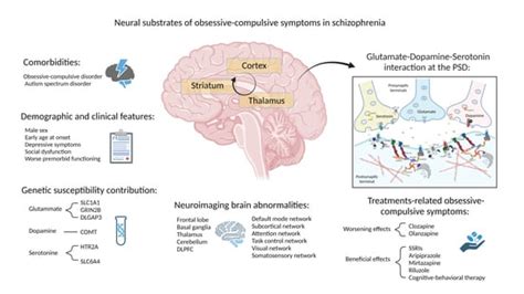The Neurobiological Underpinnings Of Obsessive Compulsive Symptoms In