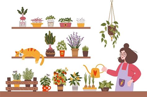 부엌 정원에서 식물에 물을 주는 여자 만화 스타일 허브 야채 및 Microgreens 실내 원예 취미 아늑한 활동 트렌디한 현대