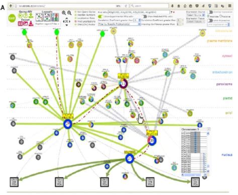 Proteome Wide Structure Based Prediction Of Protein Protein Interactions Plant Physiol Plantae