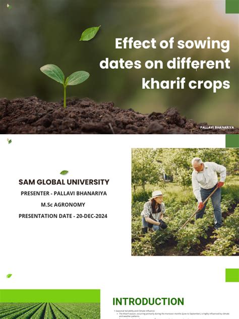 Effetc Of Sowing Dates On Different Khareef Crops Pdf Sowing
