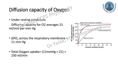 Diffusion Of Gases Through Respiratory Membrane Ppt