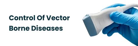 Strategies For Effective Vector Control Programs