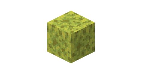 How To Make A Sponge In Minecraft A Simple Guide