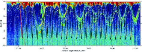 wave packet observed on oregon shelf the wave is propagating from left