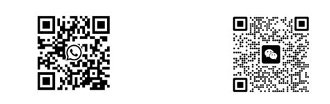 News Understanding Dna Loading Buffer Key Components And Their Functions In Electrophoresis