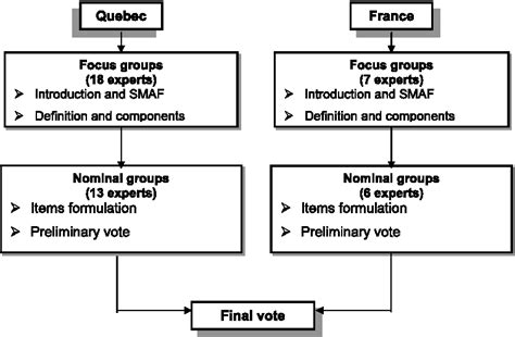 Figure 1 From Functional Autonomy Measurement System Development Of A Social Subscale
