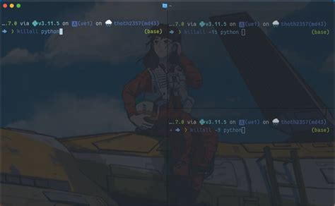 Pythondevelopment Debugging Softwareengineering Developerlife