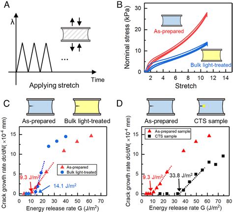 Fatigue Test Of The Hydrogel A Schematic Of The Cyclic Test The