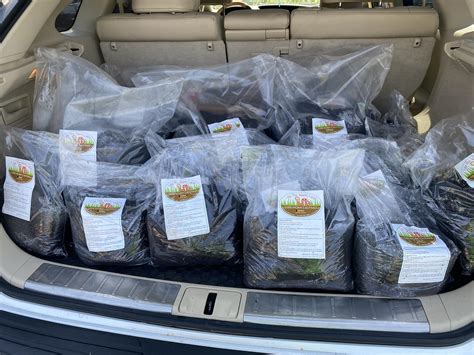 Lisa The Worm Lady Got Worms Facebook