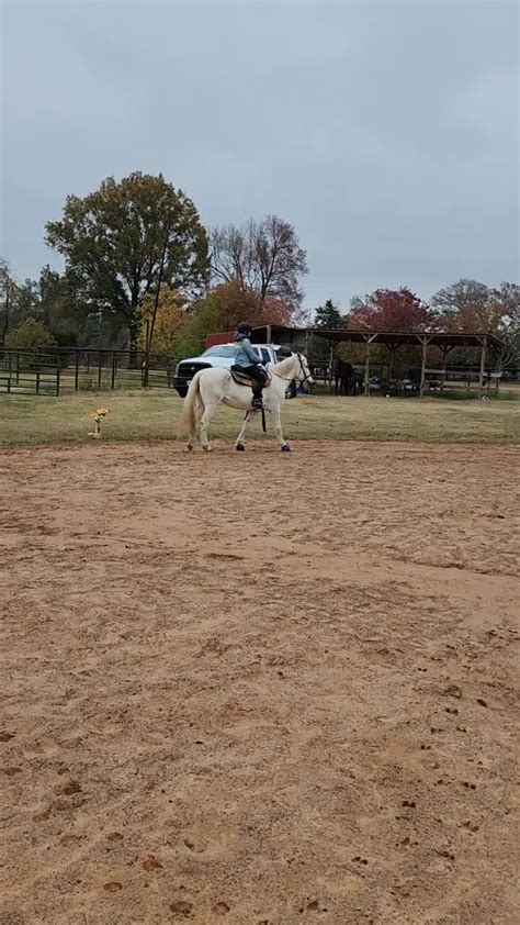 Doing Something I Never Thought Id Do Again Post Nerve Issues That