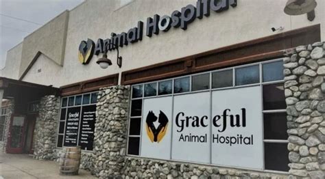 Veterinarians We Recommend Emergency Vet In Upland 24 Hour Vet