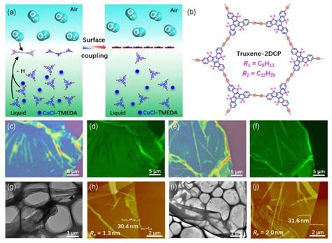 Chinese Chemical Society
