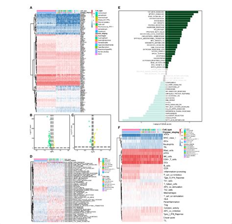 Differentially Expressed Analysis Of Tfs Hallmarks Of Cancer Genes And