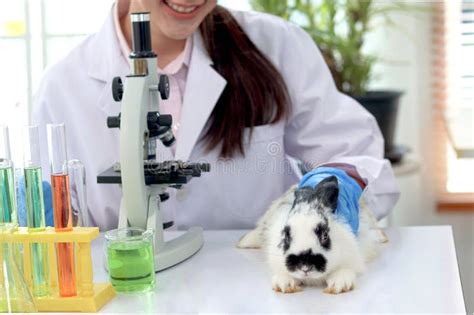 Beautiful Asian Medical Scientist Work With Microscope And Rabbit In Vet Laboratory Female